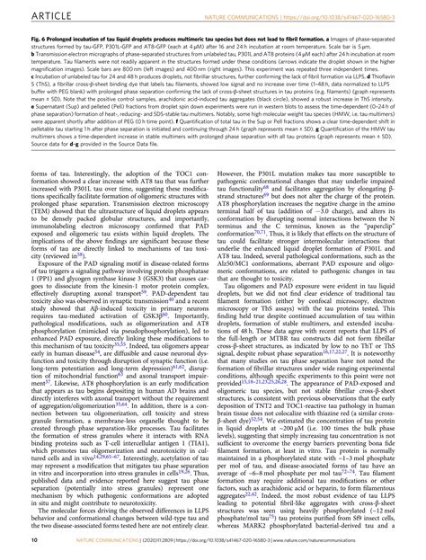 Liquid Liquid Phase Separation Pdf
