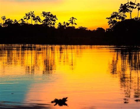 Iquitos Infocusco