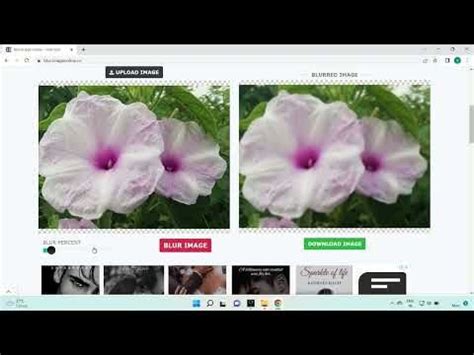 Apply Blur Effect In Image Online Simple Online Tool To Make Blur Effect In Images In Simple