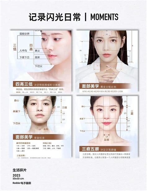 面部美学：从轮廓到细节的精致提升