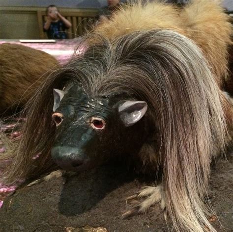 10 Things You Need To Know About Haggis