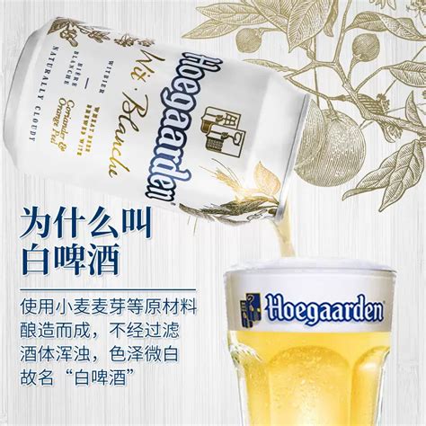 福佳白听装 听装 大山谷图库