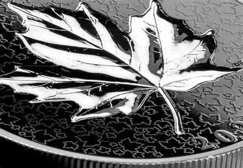 Silver Maple Leaf Coins Auronum