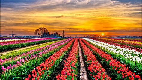 Park Horizon Travel Scenic Spring Landscape Tree Summer Tourism