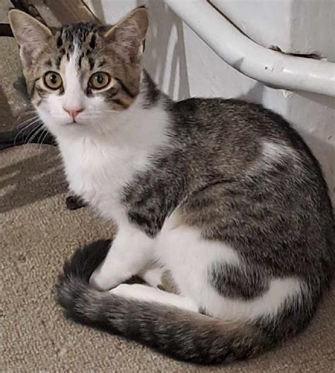 Špunt Mikeš Hb Z S