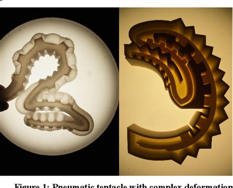 Figure 1 From Exploring Bio Inspired Soft Fluidic Actuators And Sensors For The Design Of Shape