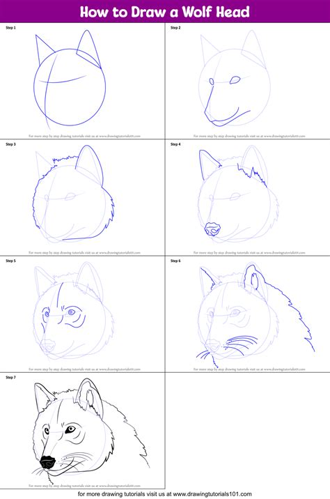 How To Draw A Wolf Head Wild Animals Step By Step