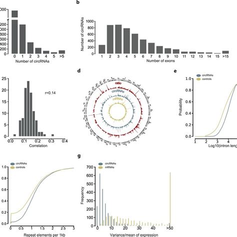 Features Of Detected Circular Rnas In Neuroblastoma A G Total Rna Download Scientific Diagram