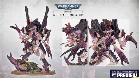 Norn Assimilator Datasheet Quick Reference Guide And Specifications