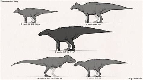 Edmontosaurus Les Dinosaures En Detail Pnso Modèles De Dinosaures