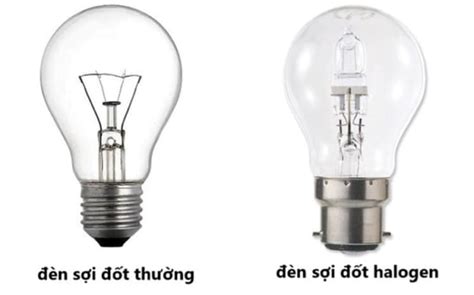 N Halogen L G Ng D Ng N Halogen Kingsolar Vi T Nam