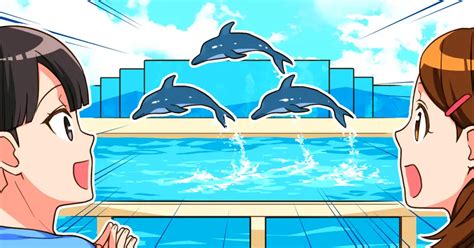 イルカショー はなまるfx のイラスト マンガハック 無料web漫画が毎日更新
