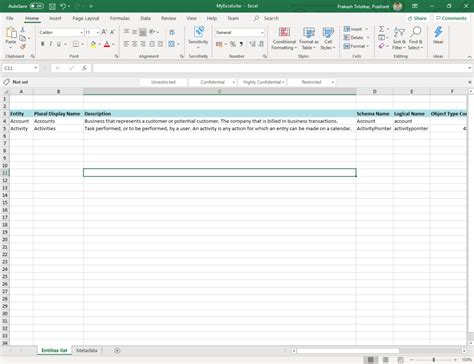 How To Easily Generate Entity Metadata In An Excel Sheet Crm Crate