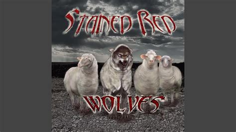 Stained Red Releases New Christian Rock Single ‘wolves Ccm Magazine