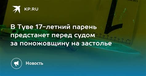 В Туве 17 летний парень предстанет перед судом за поножовщину на застолье Kp Ru