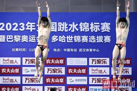 王宗源在全国跳水锦标赛上力夺双冠比赛程子龙龙道一