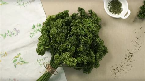 토마토 달걀 볶음 토달볶치즈