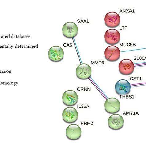 The Proteinprotein Functional Interaction Of Significantly Expressed
