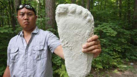 20 Photos Qui Prouvent Lexistence Du Big Foot Page 3 Sur 5