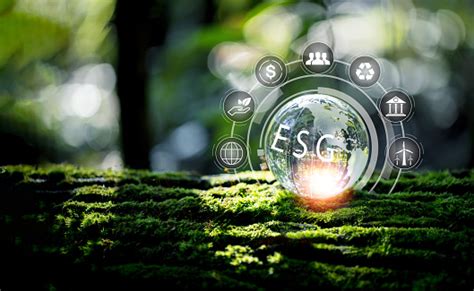 녹색 배경의 네트워크 연결에서 지속 가능하고 윤리적인 비즈니스의 환경 사회 및 거버넌스를 위한 녹색 이끼에 대한 Esg 아이콘 개념 환경 아이콘 배너 및 복사 공간 0명에