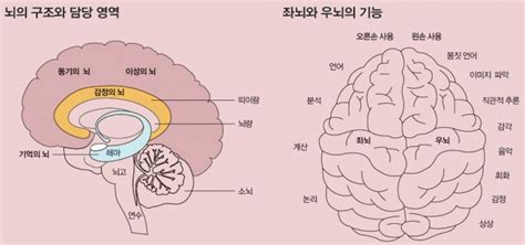 수능 100일 전 뇌과학자가 들려주는 공부 비법 10 동아사이언스
