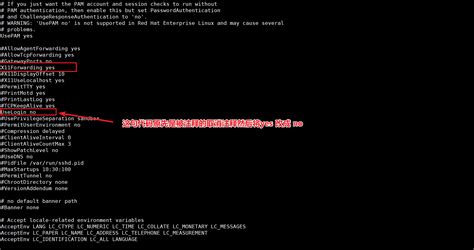 xshell 连接虚拟机出现 “the remote ssh server rejected x11 forwarding request‘的