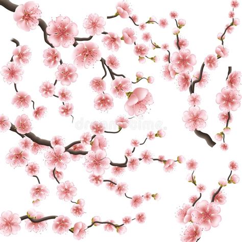 套佐仓日本樱桃分支 10 Eps 向量例证 插画 包括有 å¼€èš±çš„ ç¿è‰² èƒœåœ 84100720