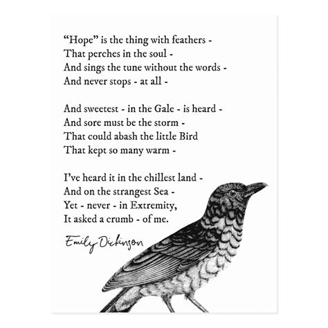 Emily Dickinsons Hope Poem Postcard Find Comfort And Inspiration