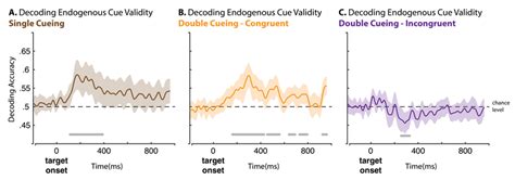 Group Averages Of Decoding Accuracy From Target Locked Erp In The