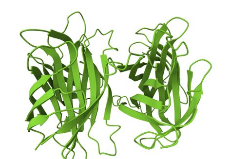 Streptavidin Conjugates Recombinant Biotinylated Chemokine Proteins