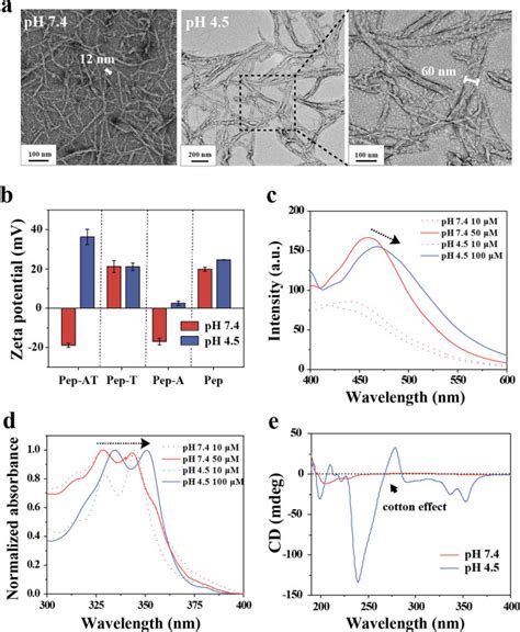 Spatiotemporal Self Assembly Of Peptide Amphiphiles By Carbonic