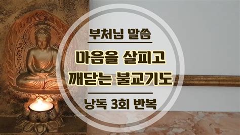 마음을 살피고 들여다보는 부처님말씀 불교기도 마음수행 마음기도 기도낭독 3회반복 마음명상 늘 깨어 염불수행하여 마음을 살피는 발원문 Youtube