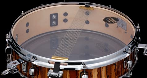 Tama Snare Slp Lmp144l Msp 16x04 Ltd Station Music