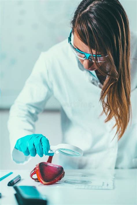 Forensic Science Stock Image Image Of Examining Chemistry 272733593