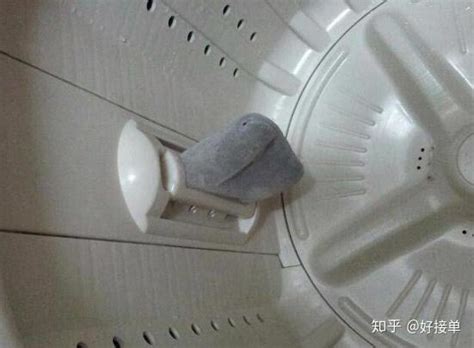 洗衣机过滤网清洗方法 知乎