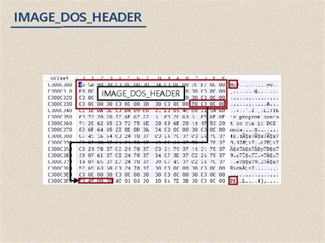 Pe Imagedosheader 64 Byte Dos Stub Code Size