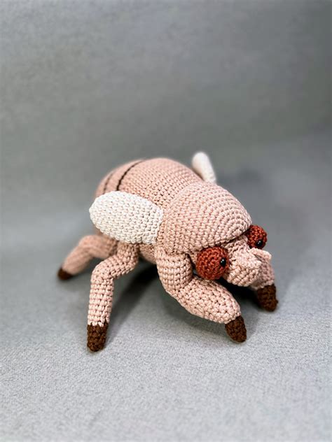 Ravelry Cicada Nymph Pattern By Anna Sytnikova