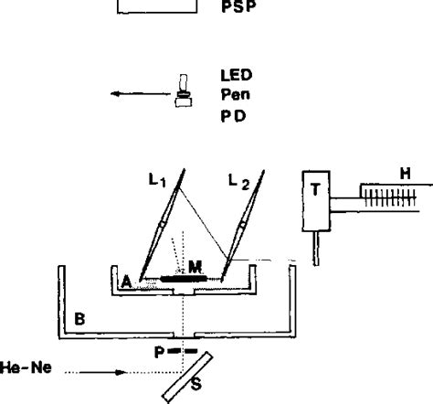Figure 1 From Laser Diffraction Patterns During Isometric And Auxotonic Contractions In Frog