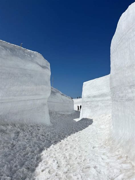 Tateyama Kurobe Snow Wall 2025 Festival 1 Day Bus Tour From Kanazawa