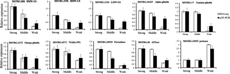 Qrt‐pcr Validation Of Degs Identified By Rna‐seq Ten Degs Including Download Scientific