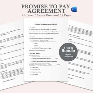 Standard Promissory Note Promissory Note Promise To Pay Agreement
