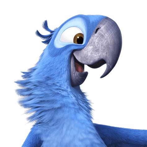 Rio Movie Blu