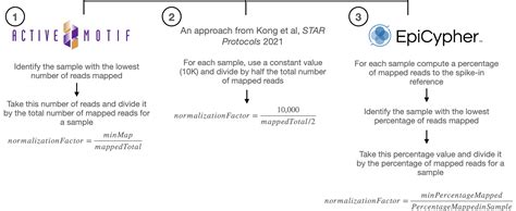 Experimental Design Considerations Introduction To Chip Seq Using High Performance Computing
