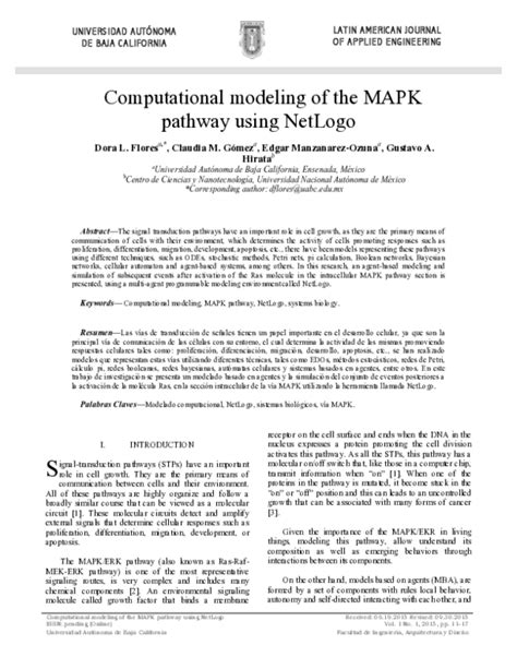 Pdf Computational Modeling Of The Mapk Pathway Using Netlogo