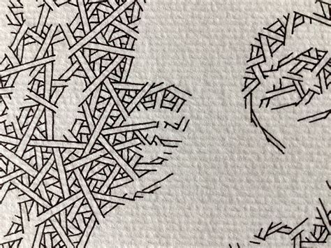 Francesca Chicca Disegata Da Flavio Furlan Artista Quasi