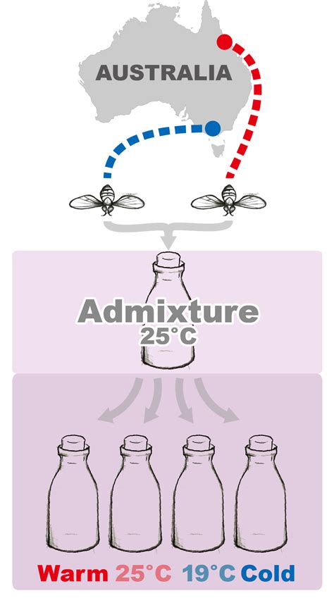 Schematic Diagram Of The Experiment Okinawa Institute Of Science And Technology Oist