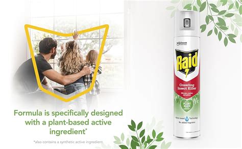 Raid Plant Based Crawling Insect Killer Aerosol Bug Spray For Indoor Use Kills And Controls