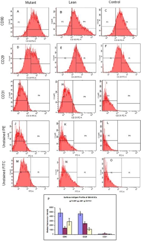 Flow Cytometric Analysis Of Bm Mscsrepresentative Facs Open I
