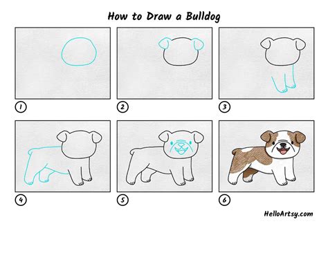 Hoe Teken Je Een Bulldog