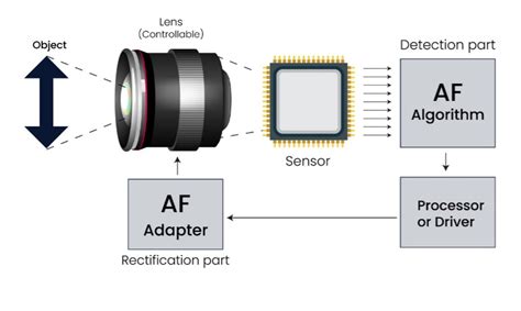 Autofocus Systems An In Depth Look At Their Detection Methods And